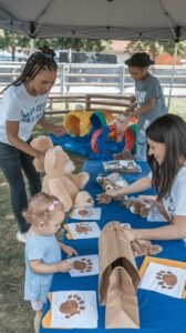 The Ultimate Teddy Bear Picnic Guide: Creating Magical Memories for ...